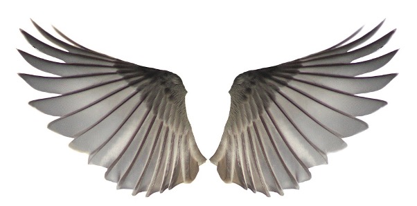 About – In and Out of Darkness